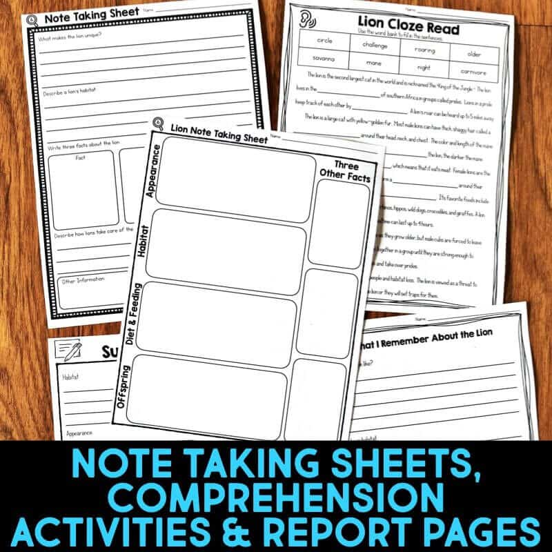 Lion Informational Article and Comprehension Activities