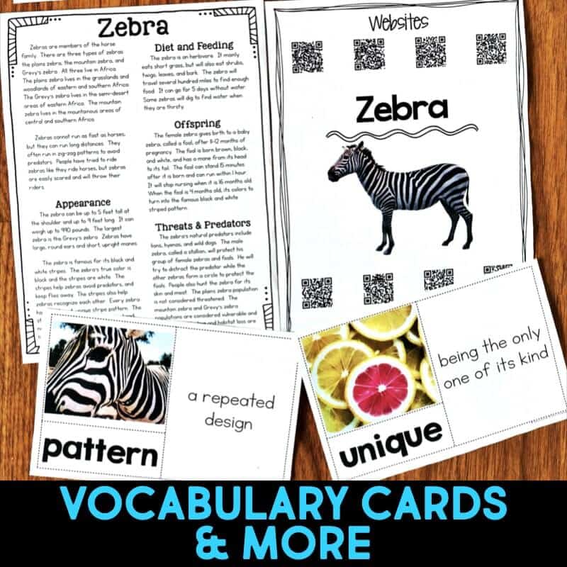 Zebra Informational Article and Comprehension Activities