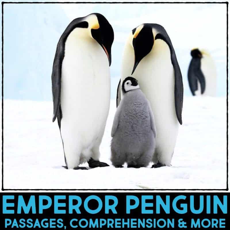 Emperor Penguins Informational Article
