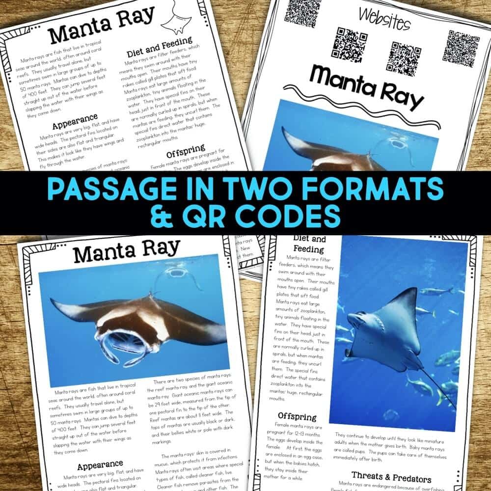 Manta Ray Informational Article and Comprehension Activities