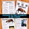 Capybara Informational Article and Comprehension Activities