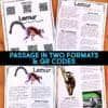 Lemur Informational Article and Comprehension Activities