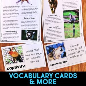 Lemur Informational Article and Comprehension Activities