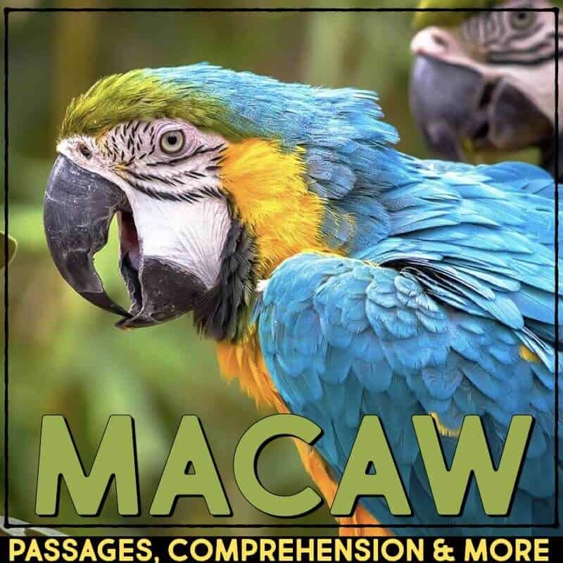 Macaw Informational Article and Comprehension Activities