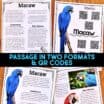 Macaw Informational Article and Comprehension Activities