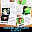 Red-Eyed Tree Frog Informational Article and Comprehension Activities