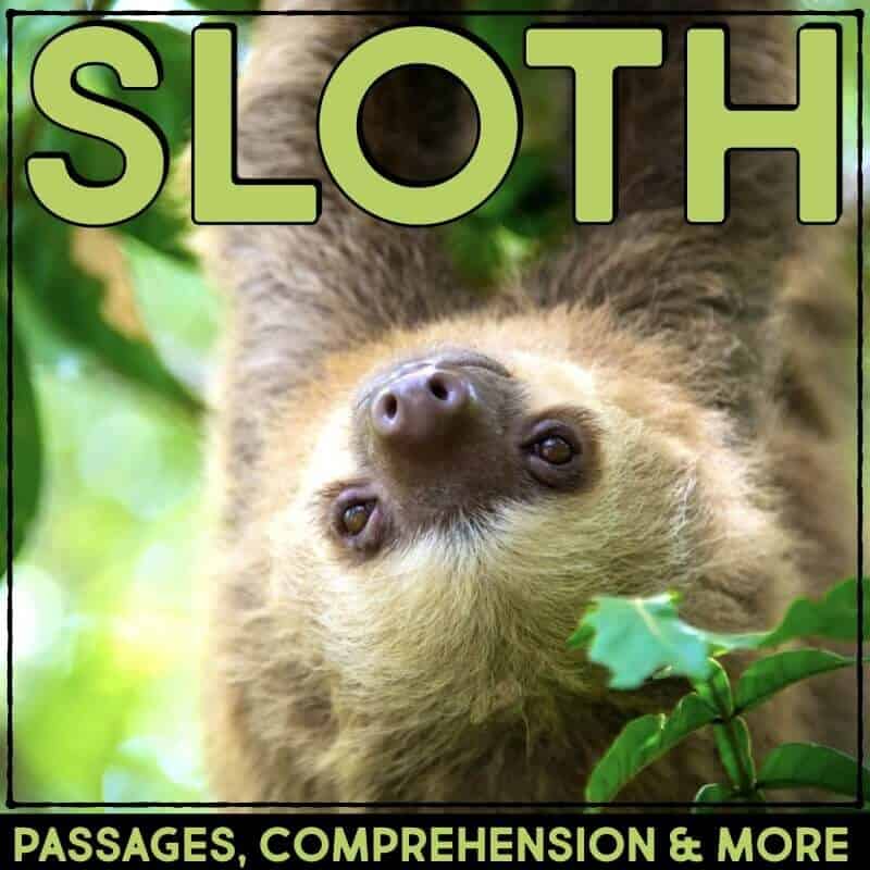 Sloth Informational Article and Comprehension Activities