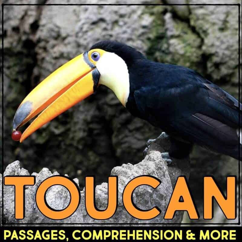Toucan Informational Article and Comprehension Activities