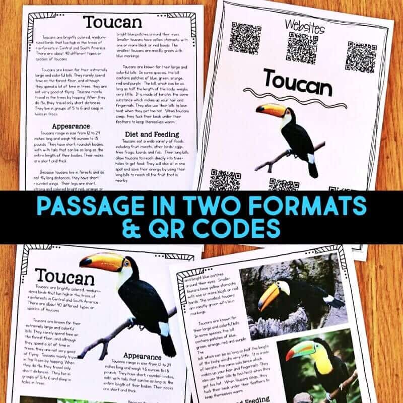 Toucan Informational Article and Comprehension Activities