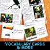 Toucan Informational Article and Comprehension Activities