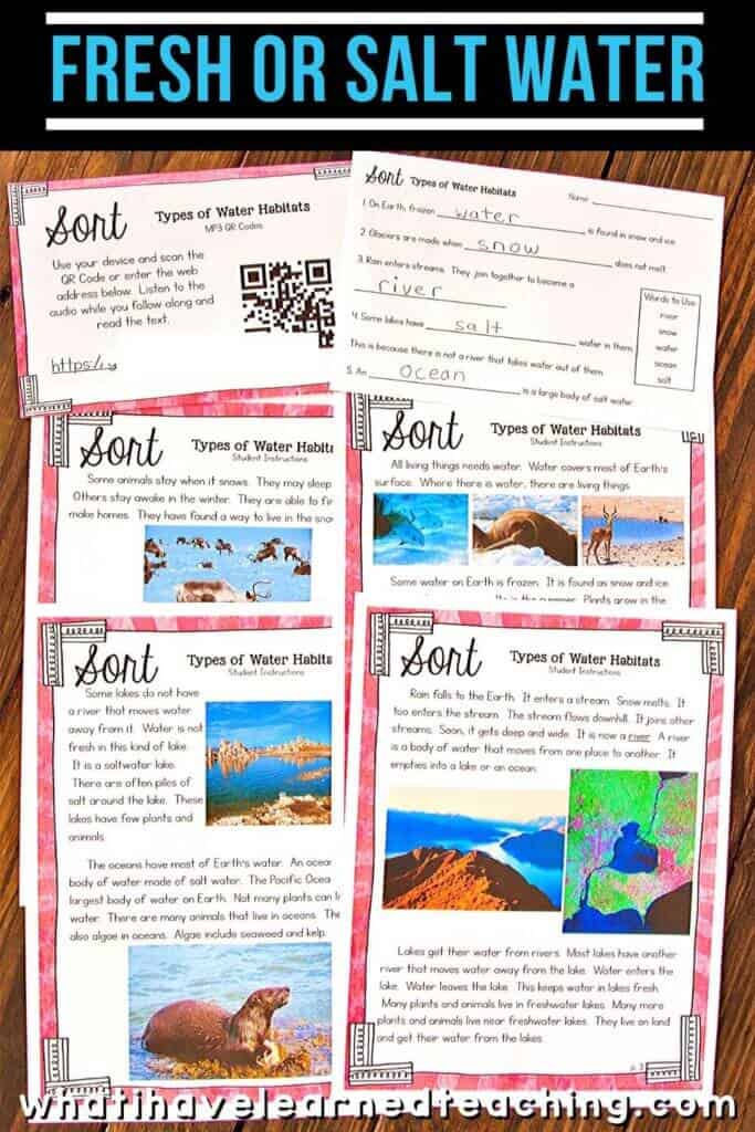 Types of Water Habitats Sorting Activity - Freshwater or Saltwater Habitat