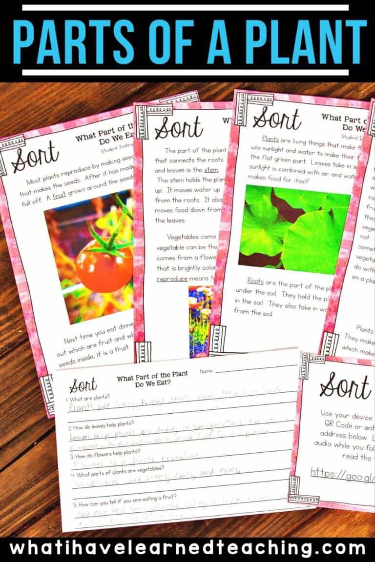 What Part of the Plant Do We Eat - Science Sorting Activity