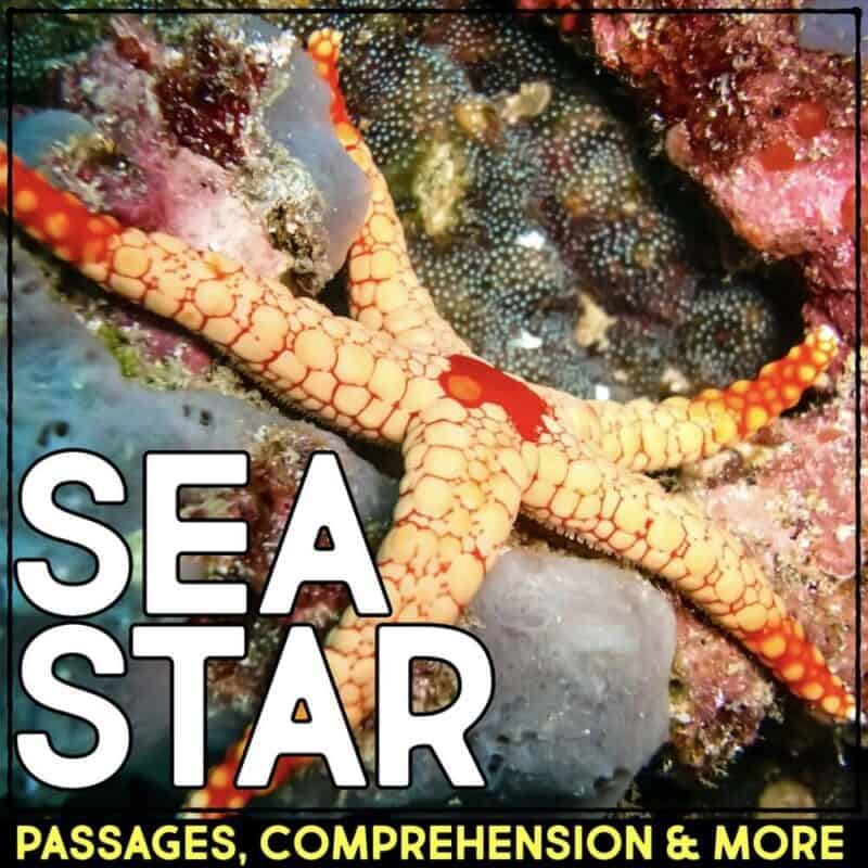 Sea Star Informational Article and Comprehension Activities