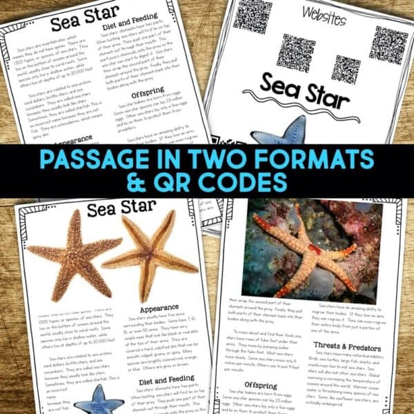 Sea Star Informational Article and Comprehension Activities