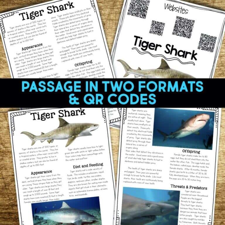 Tiger Shark Informational Article, Comprehension & Vocabulary Activities