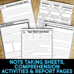 Tiger Shark Informational Article, Comprehension & Vocabulary Activities