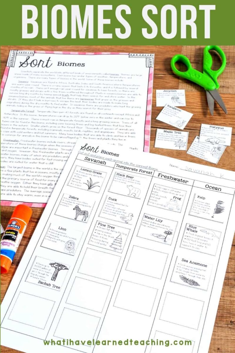 Animals in Biomes Activity: Sort Plants & Animals