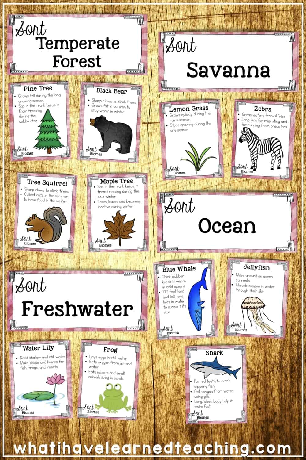Sort Animals and Plants into Biomes