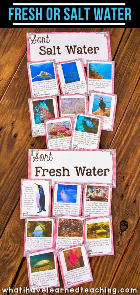 Types of Water Habitats Sorting Activity - Freshwater or Saltwater Habitat