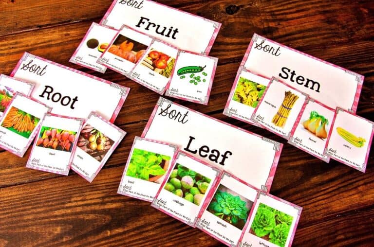 Free Science Station for 2nd, 3rd, 4th and 5th Grades
