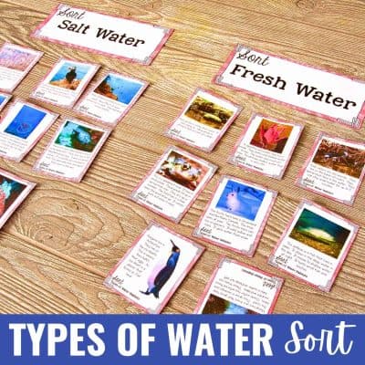 Earth Science for Elementary Students: 2nd–5th Grade Guide
