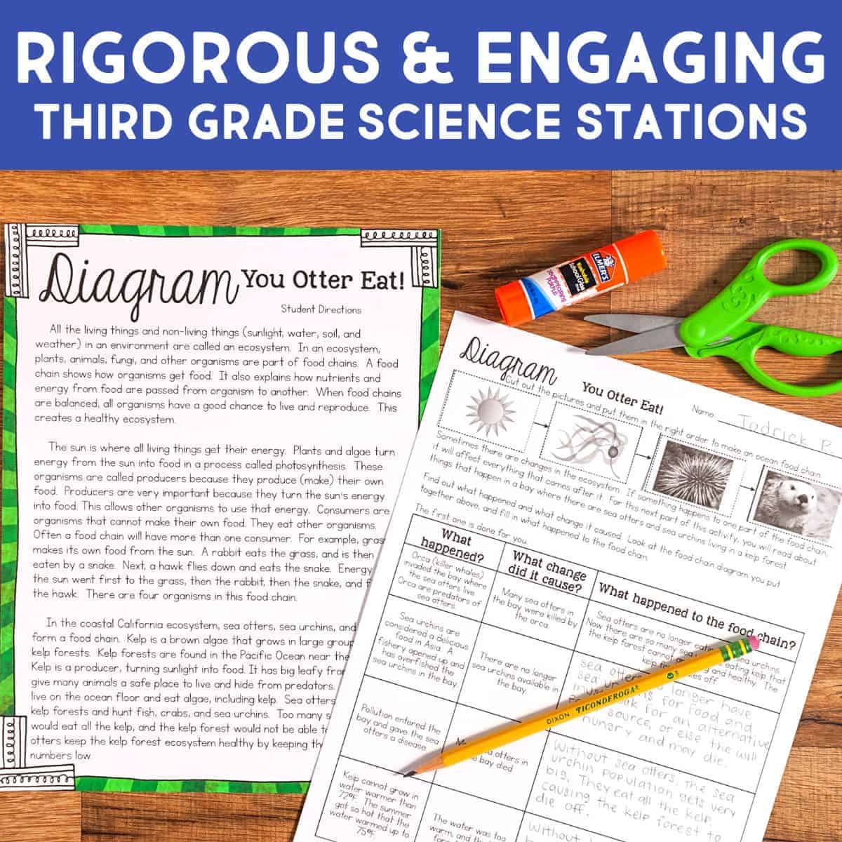 Rigorous Third Grade Science Curriculum for NGSS