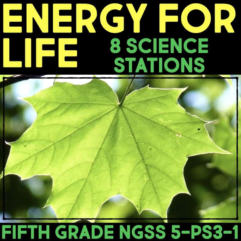 Energy for Life Science Station BUNDLE