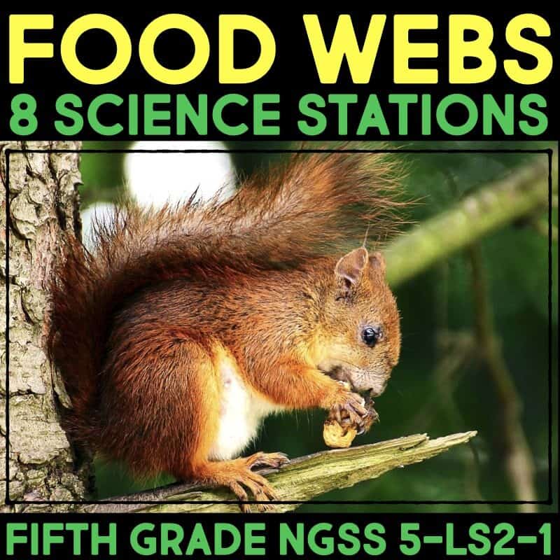 Food Webs & Ecosystems Science Station UNIT BUNDLE