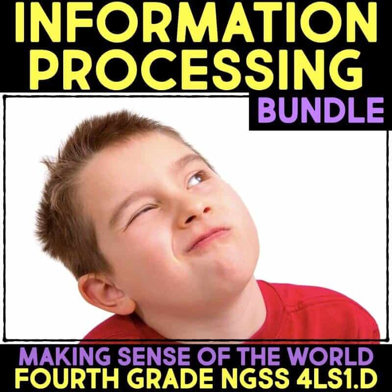 Information Processing BUNDLE: Making Sense of the World Science Stations