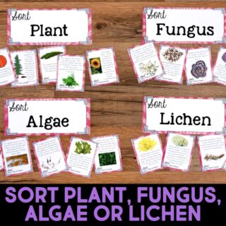 Structure & Function BUNDLE: How Organisms Live, Behave, Reproduce, Grow