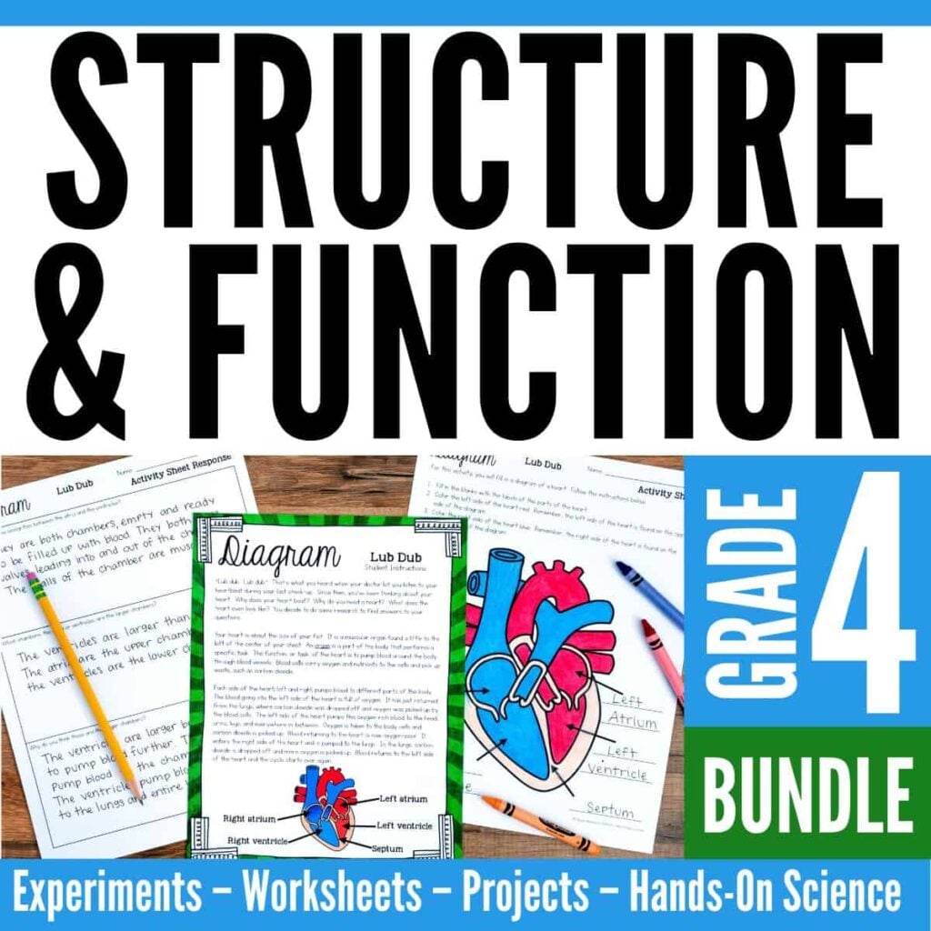 Structure & Function BUNDLE: How Organisms Live, Behave, Reproduce, Grow