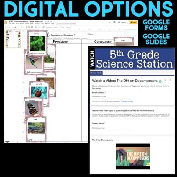 Food Webs & Ecosystems Science Station UNIT BUNDLE