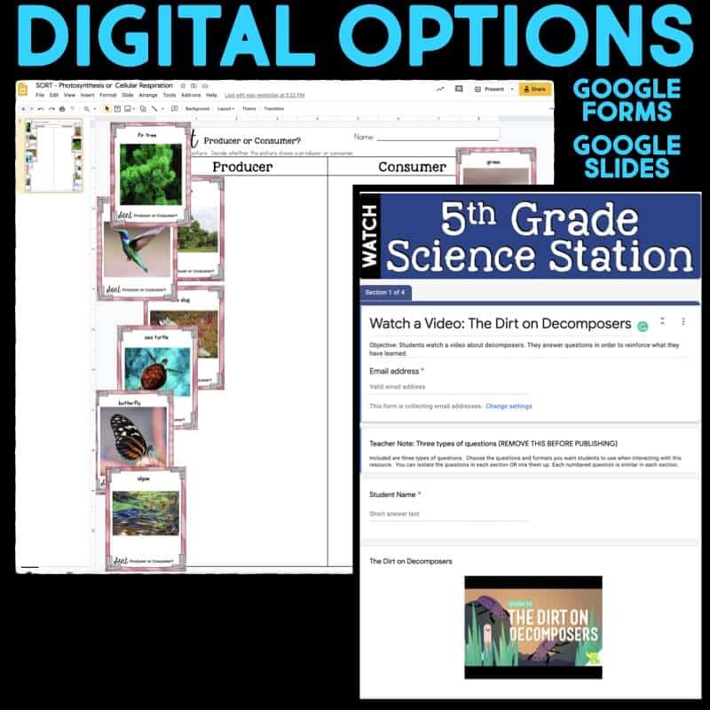 Food Webs & Ecosystems Science Station UNIT BUNDLE