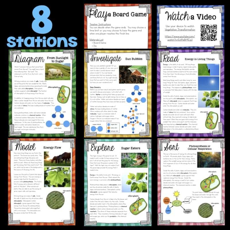 Energy for Life Science Station BUNDLE