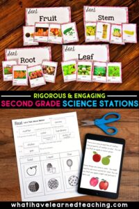 Rigorous Second Grade Science Centers for NGSS
