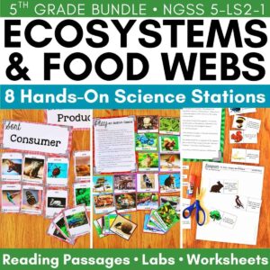 Food Chains and Food Webs: A Teacher's Guide for Elementary Students