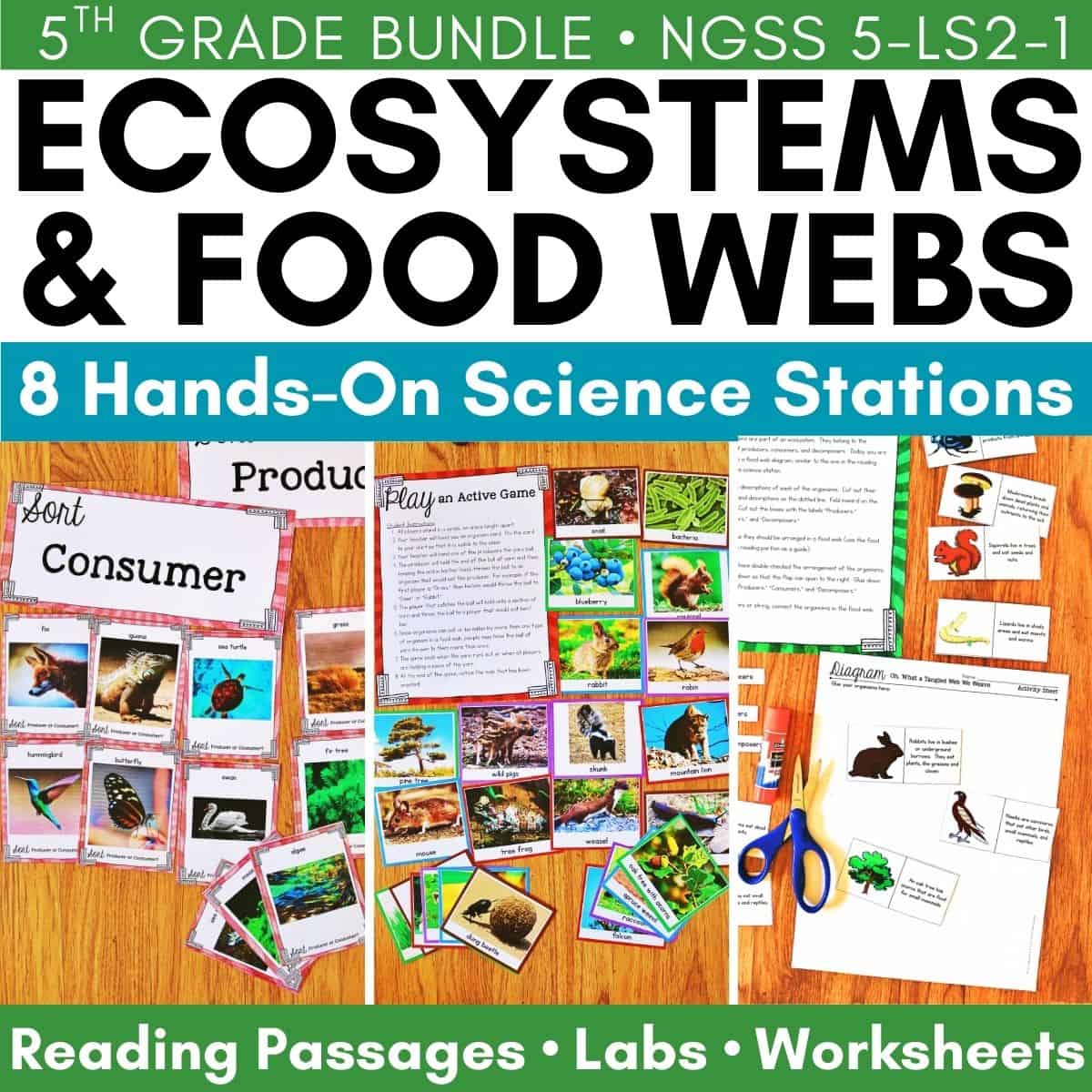 Food Webs & Ecosystems Science Station UNIT BUNDLE