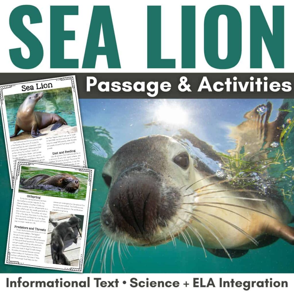 Sea Lion Informational Article and Comprehension Activities