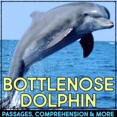 Dolphin Comprehension Reading Passage & Activities