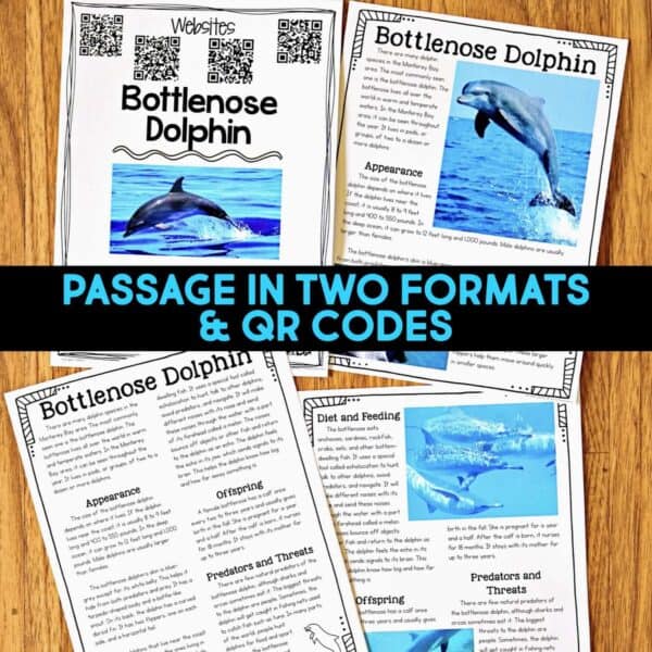 Dolphin Comprehension Reading Passage & Activities