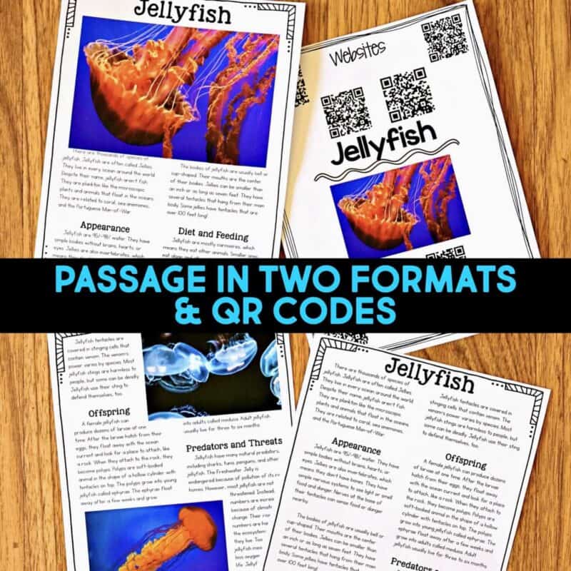 Jellyfish Informational Article and Comprehension Activities
