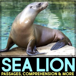 Sea Lion Informational Article and Comprehension Activities