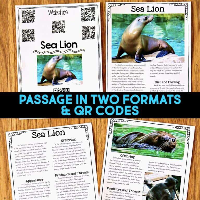 Monterey Bay Animal Article BUNDLE