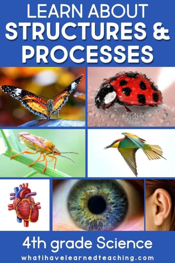 Teaching Ideas for From Molecules to Organisms -Structures and Processes