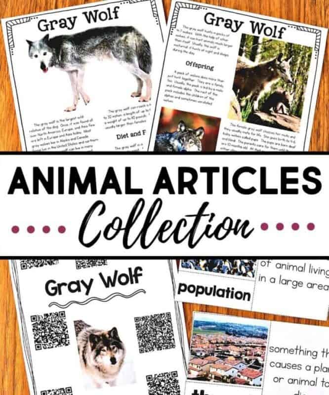 animal article | science news animals – ZRJHVU