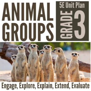 Hands-on Ecosystem Activities for Elementary Students