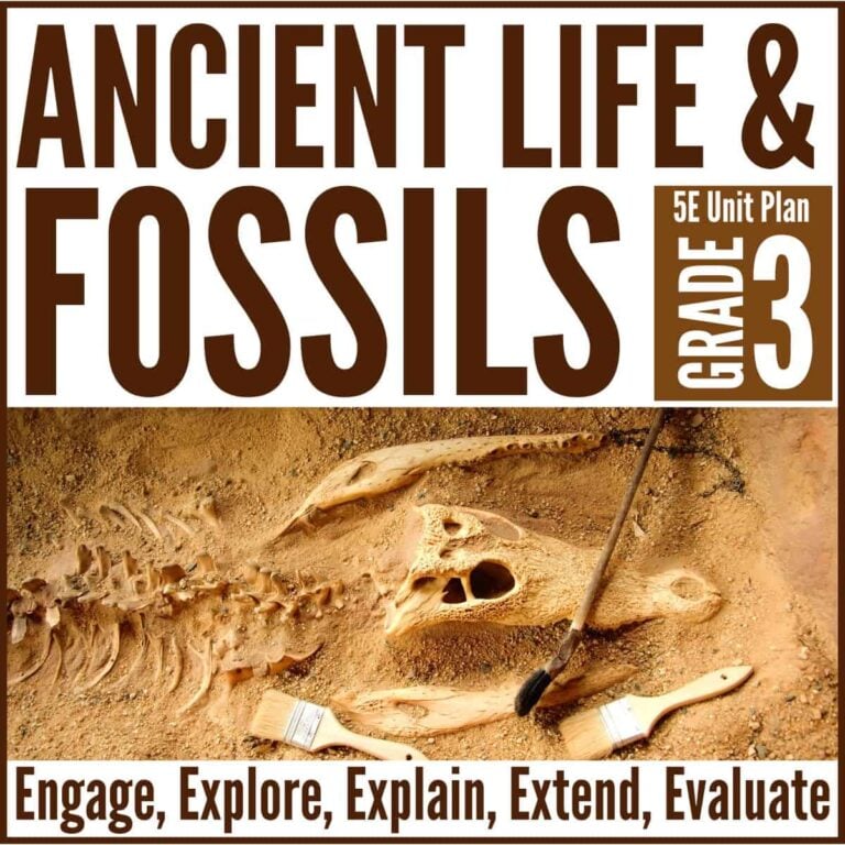 Fossils in 3rd Grade: NGSS 3-LS4-1 Teaching Guide