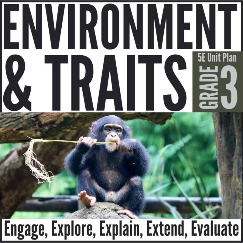 Inheritance, Variation of Traits & Environment - 3rd Grade