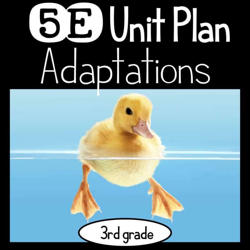 Adaptations 5E Science Unit Plan for Third Grade