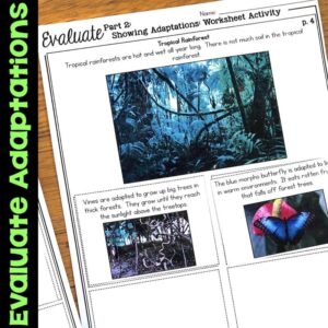 Adaptations 5E Science Unit Plan for Third Grade